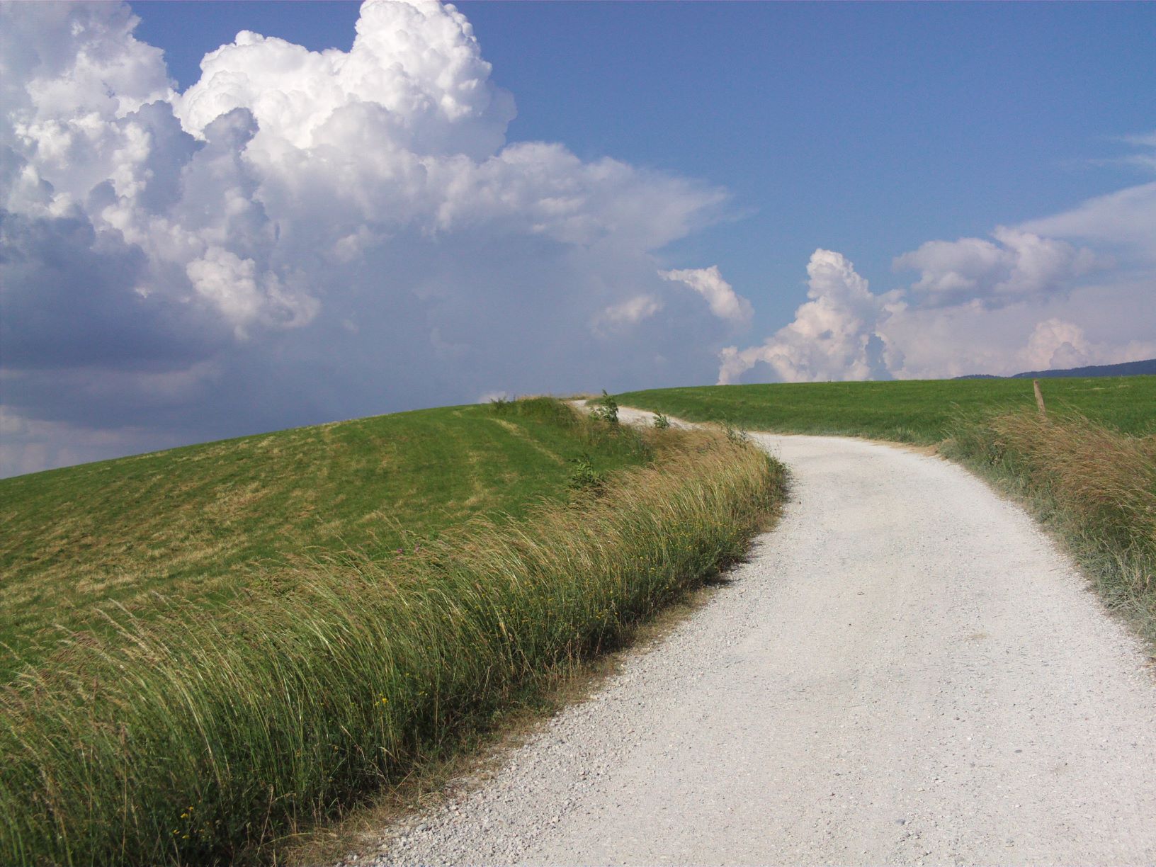 Detail - agirinfo.com